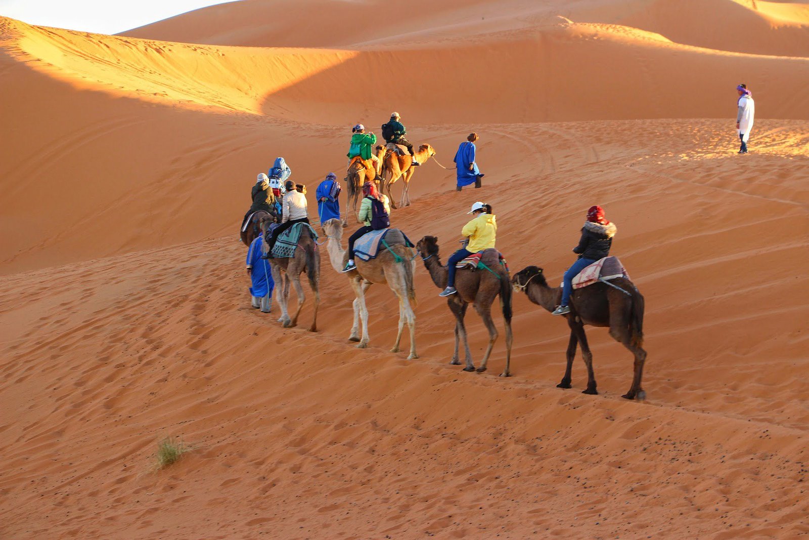 Best 6 Days Sahara Tour - Marrakech Journeys